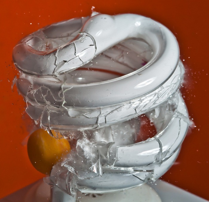 High Speed Photography by Alan Sailer | Amusing Planet